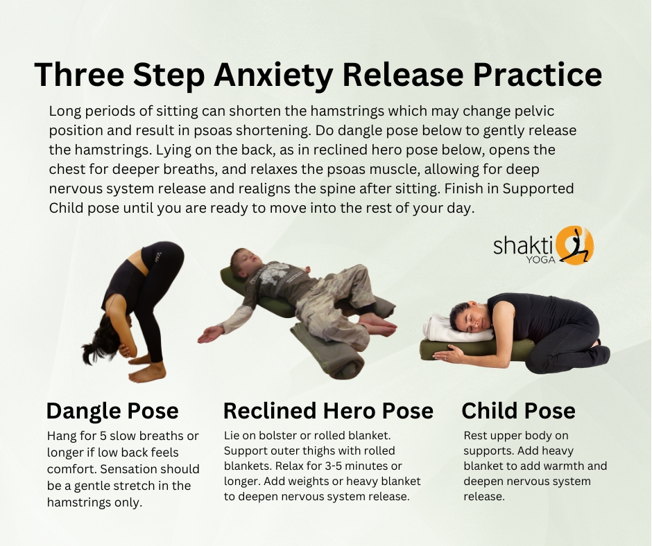 The Psoas, Sitting, and Stress Connection – Shakti Yoga Method