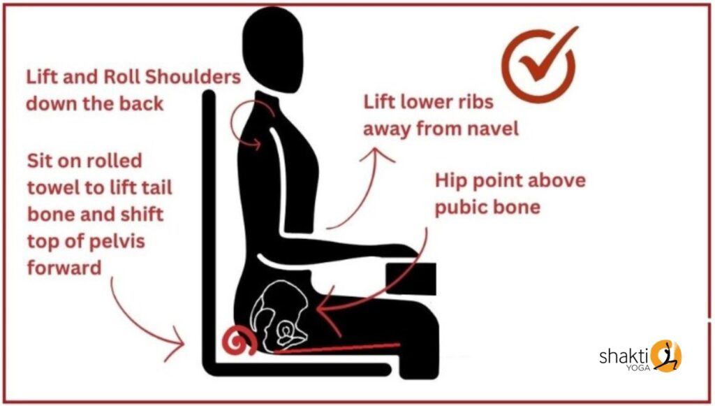 The Psoas, Sitting, and Stress Connection – Shakti Yoga Method